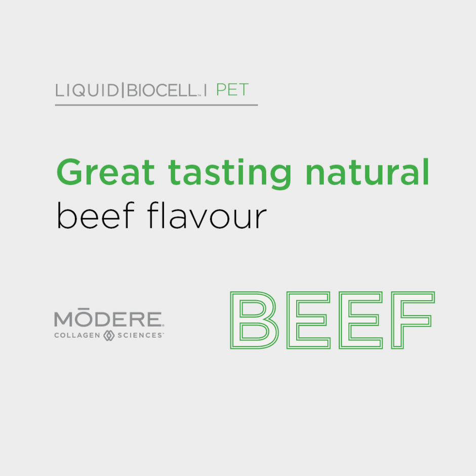 Biocell Pet® – UWDOGS